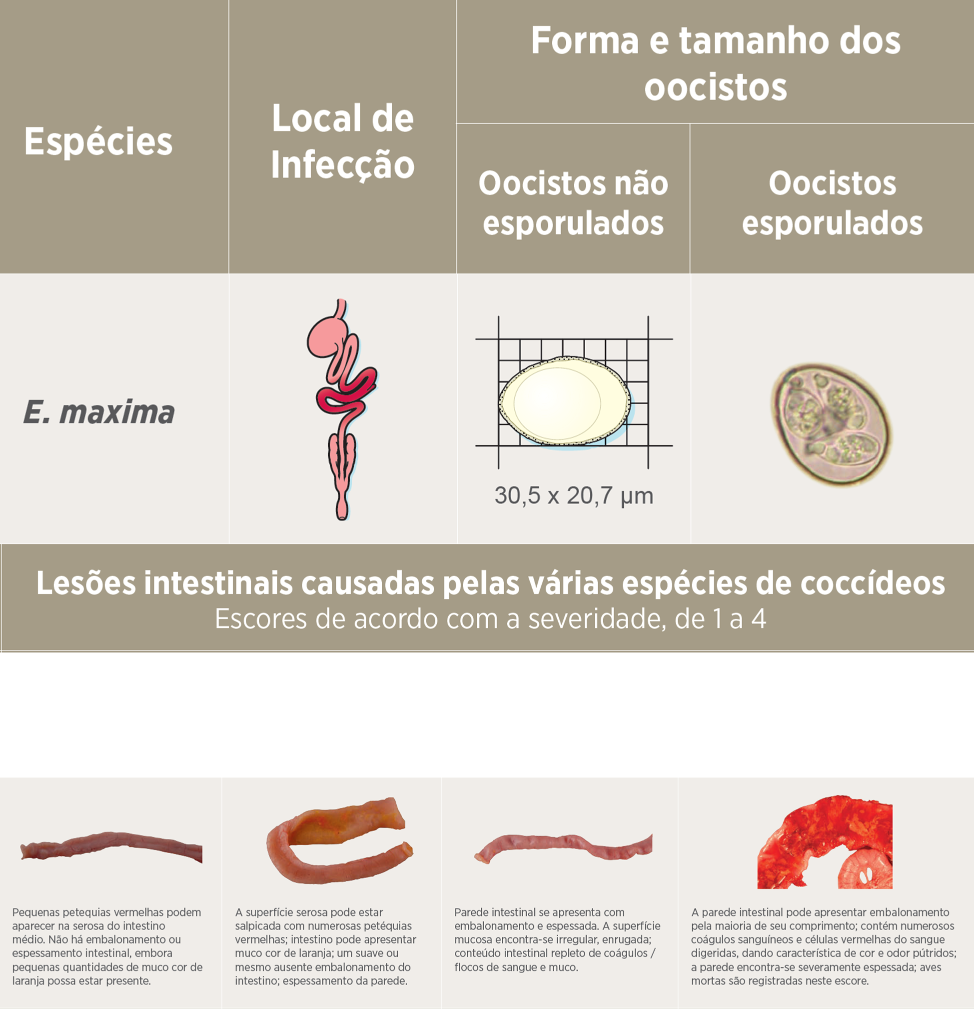 Zoetis