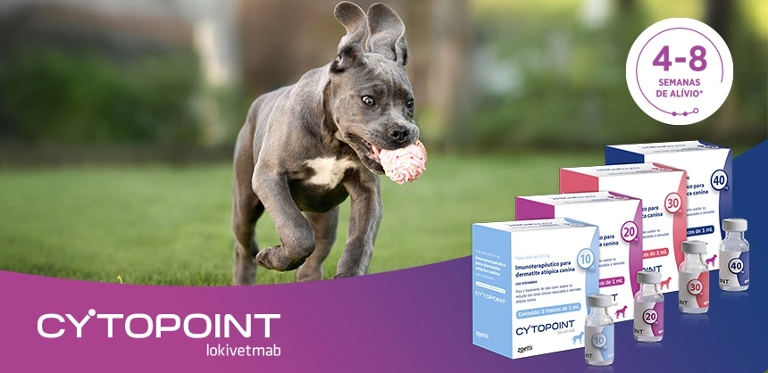 Dermatite Atopica Em Caes Dermatite Atópica Em Cães PSH Pet Skin